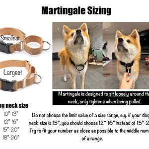 Ladybug Buggy Dog Collar, Martingale With Buckle, Personalized Engraved ...