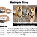 Ladybug Buggy Dog Collar, Martingale With Buckle, Personalized Engraved ...