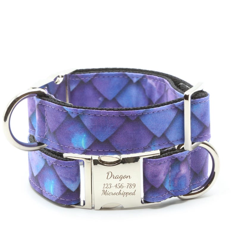 Dragon Dog Collar - Etsy