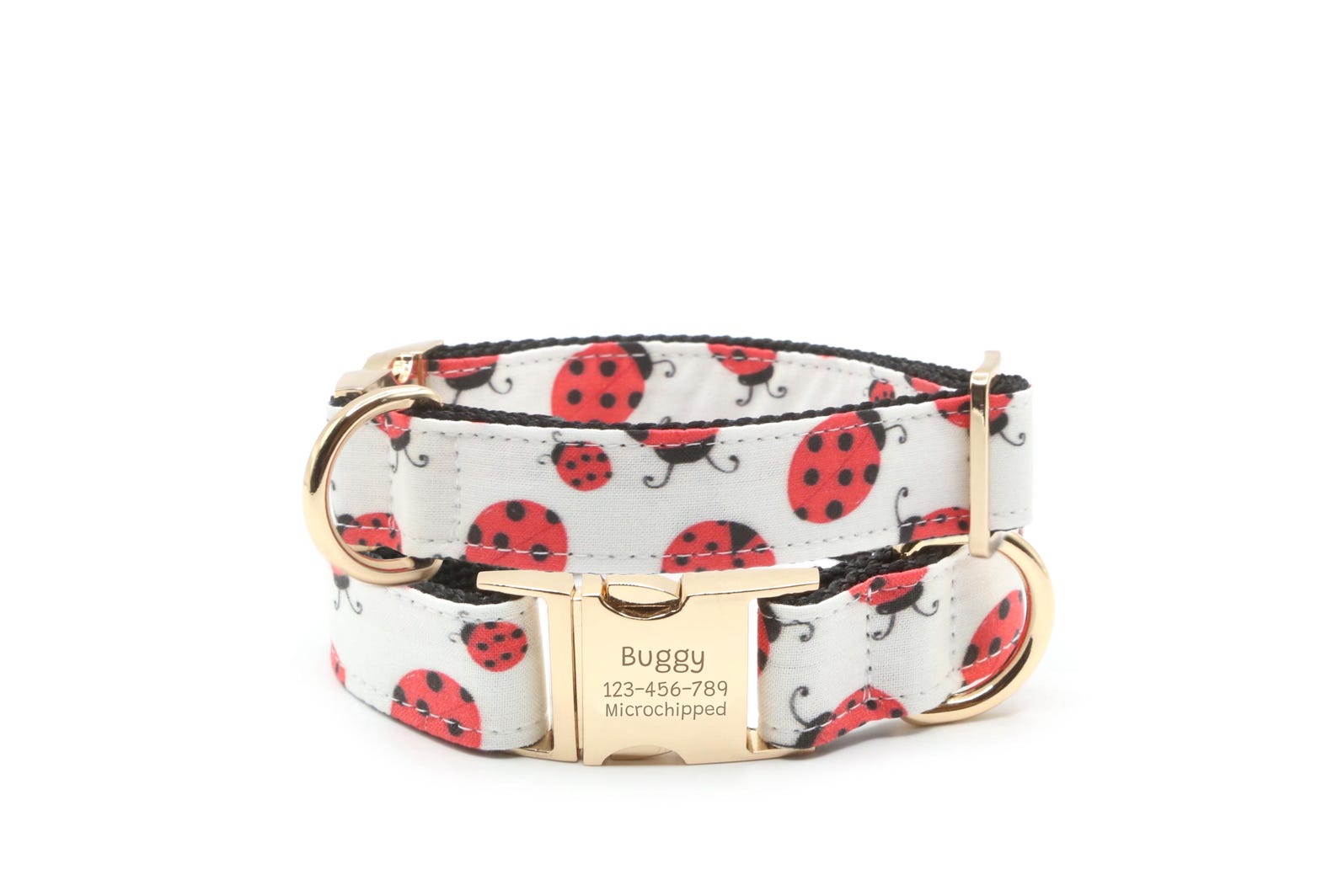 Ladybug Buggy Dog Collar, Martingale With Buckle, Personalized Engraved ...