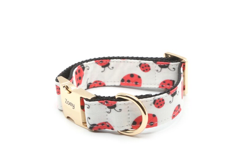 Ladybug Buggy Dog Collar, Martingale With Buckle, Personalized Engraved ...