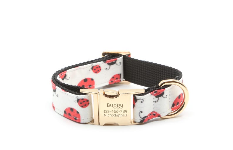 Ladybug Buggy Dog Collar, Martingale With Buckle, Personalized Engraved ...