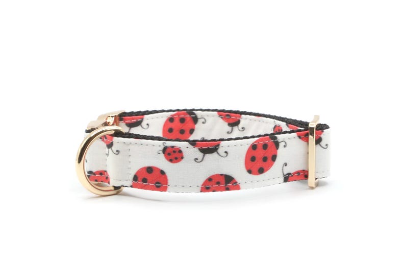 Ladybug Buggy Dog Collar, Martingale With Buckle, Personalized Engraved ...