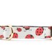 Ladybug Buggy Dog Collar, Martingale With Buckle, Personalized Engraved ...