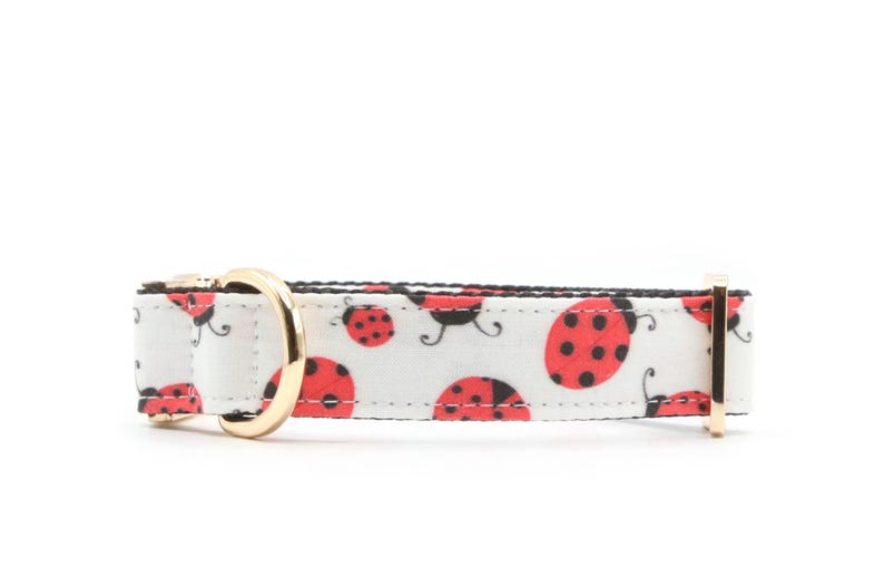 Ladybug Buggy Dog Collar, Martingale With Buckle, Personalized Engraved ...