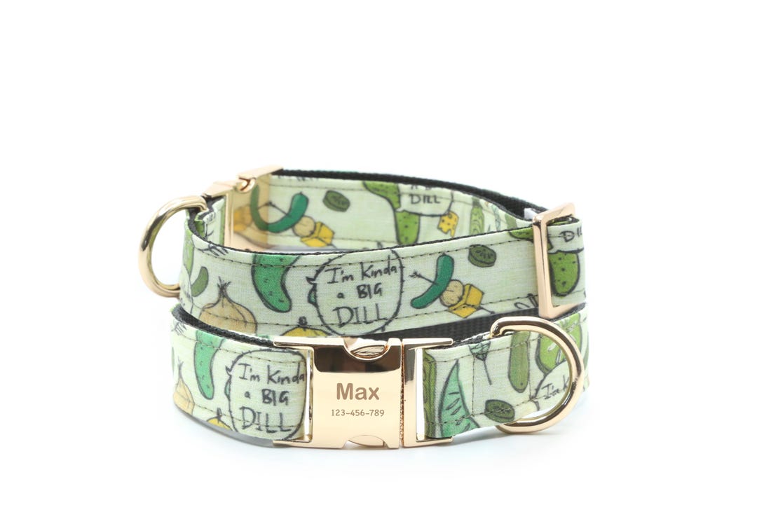 I‘m Kinda a Big Dill Dog Collar, Pickle Dill Dog Collar, Martingale ...