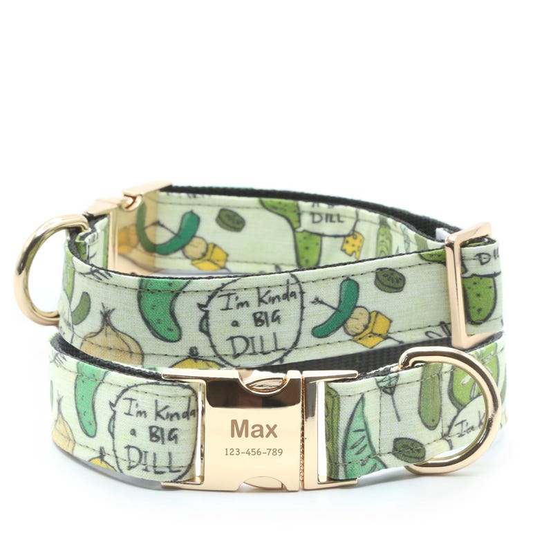 Fun Dog Collar - Etsy