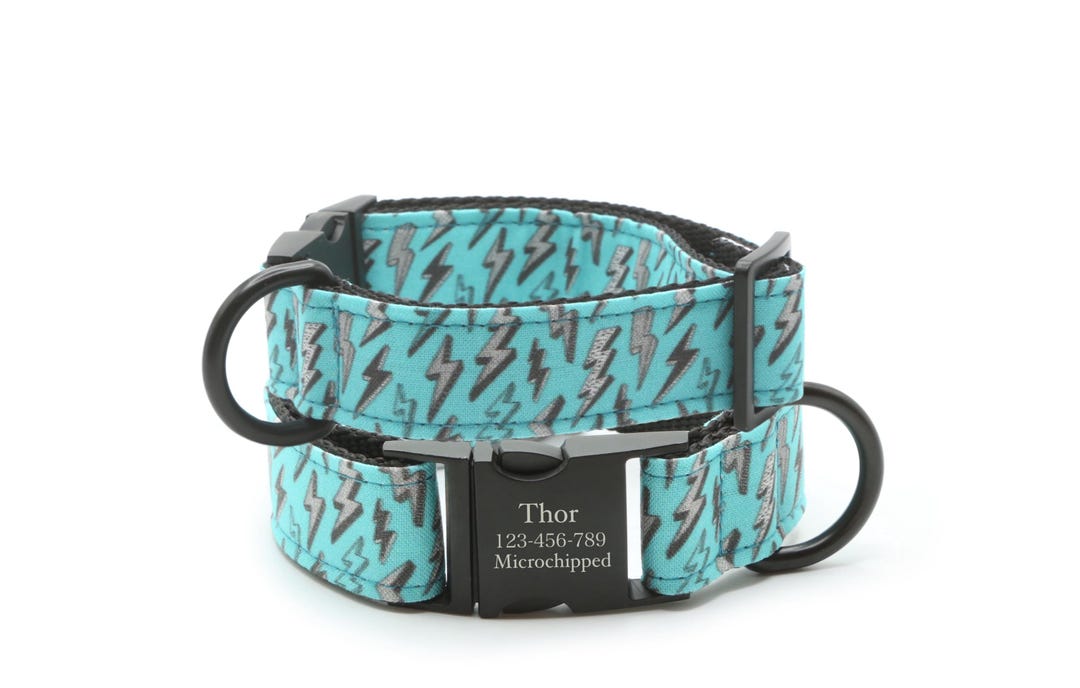 Thunder and Lightning Bolts Dog Collar: Black on Light Blue, Custom ...