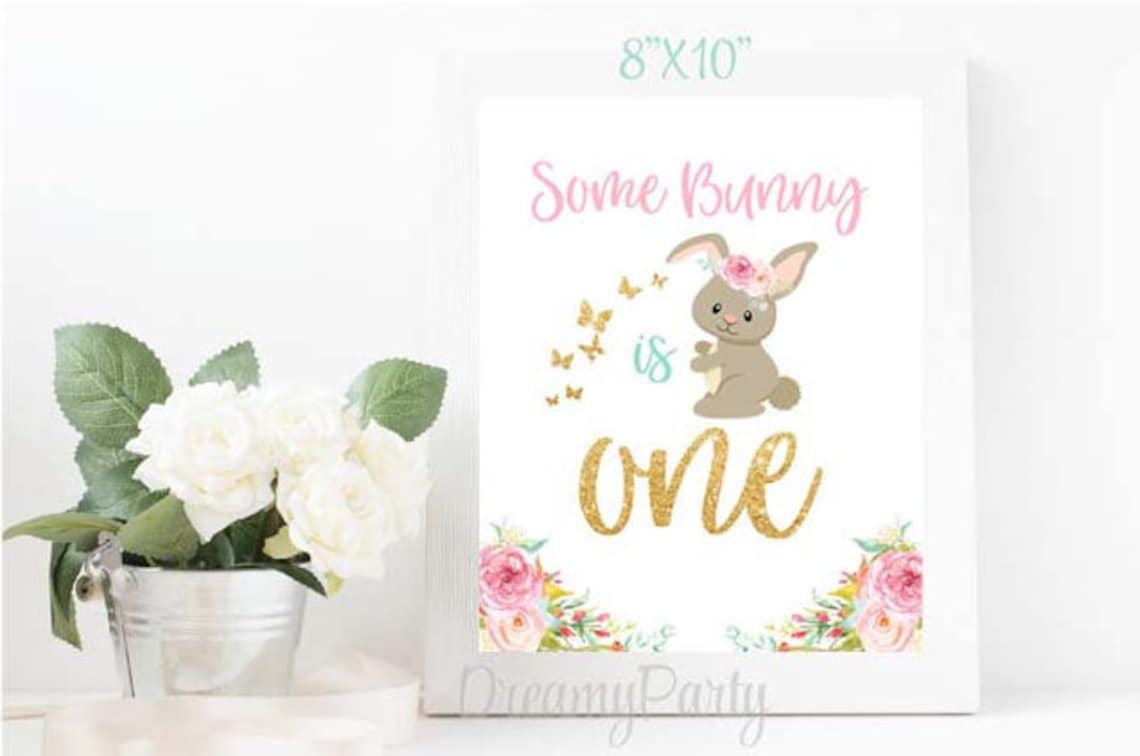 Some Bunny is One First Birthday Party Decorations | Etsy