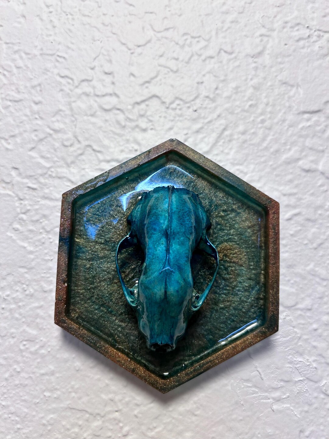 Skunk Skull Plaque - Etsy