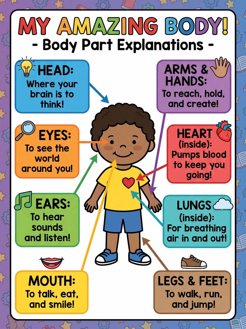 Human Body Anatomy Poster for Kids | Educational Body Part Chart ...