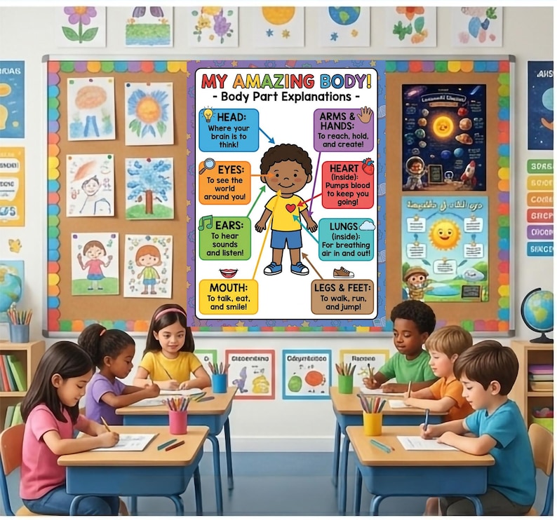 Human Body Anatomy Poster for Kids | Educational Body Part Chart ...