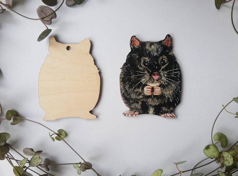 Hand Painted Wooden Hanging Hamster/rat/guinea Pig Decoration Painted ...