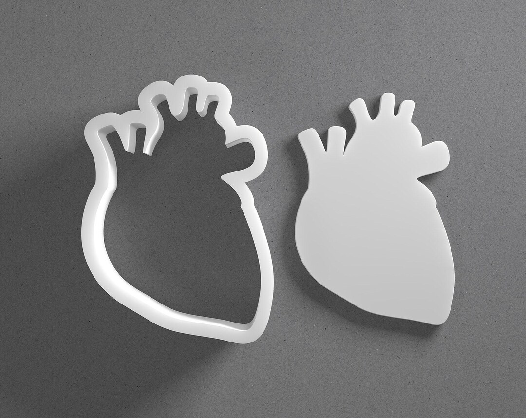 Human Heart Cookie Cutter & Anatomical Polymer Clay Earring, Pottery ...