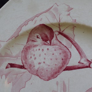 Rare Antique English Brown Westhead Moore Plate Canova Model 1882 - Etsy