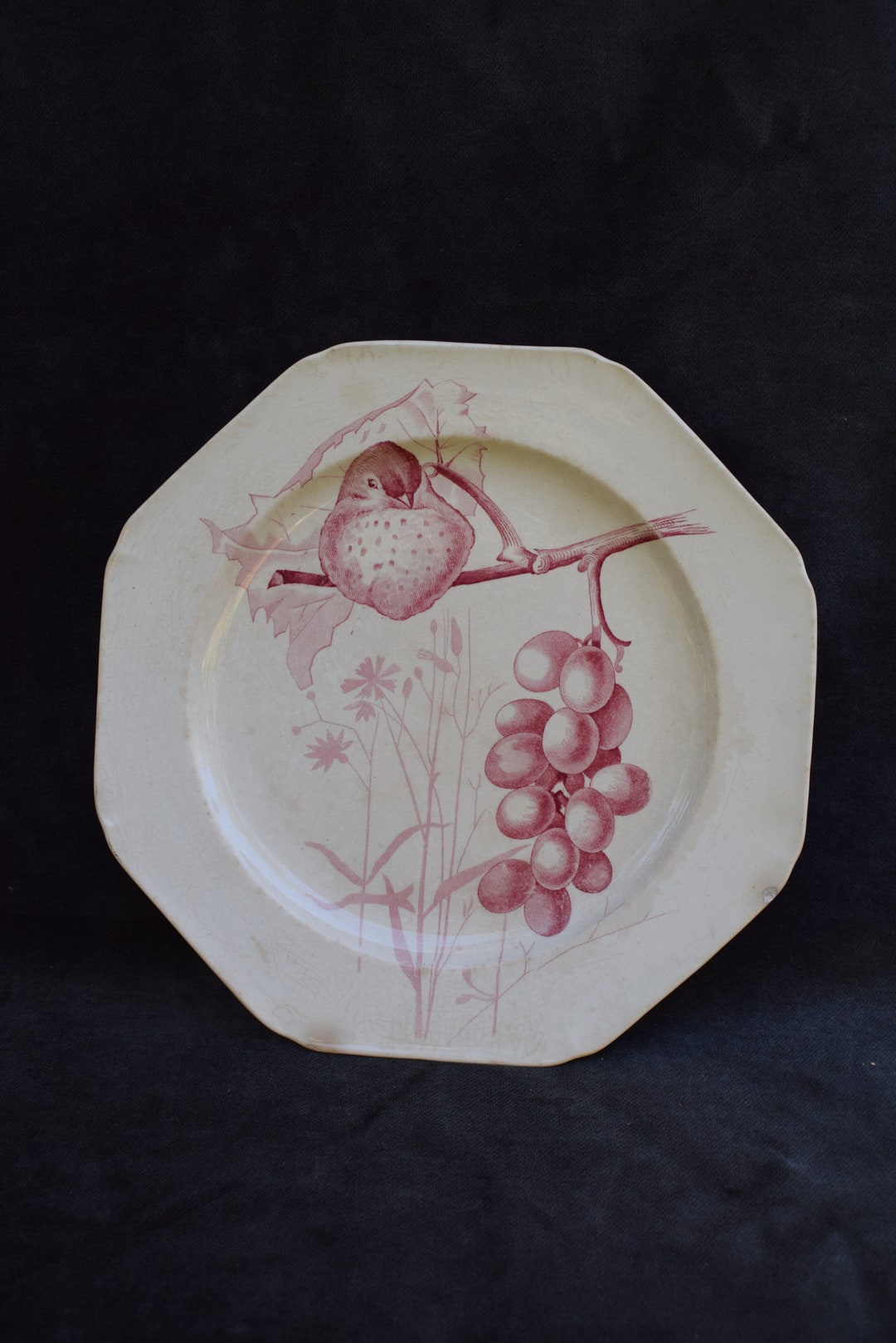 Rare Antique English Brown Westhead Moore Plate Canova Model 1882 - Etsy