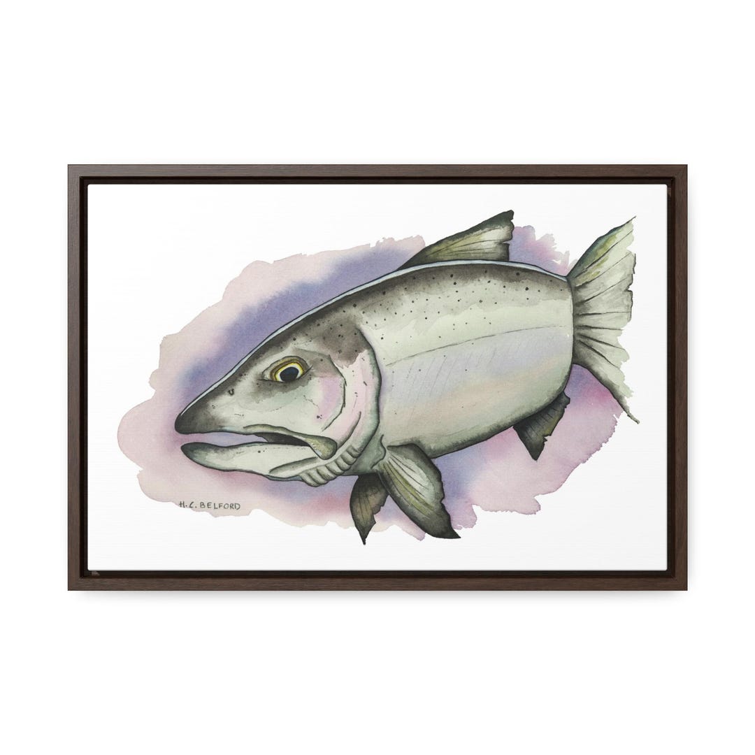 Cartoon Coho Salmon Gallery Canvas Wraps, Art Print, Salmon Painting ...
