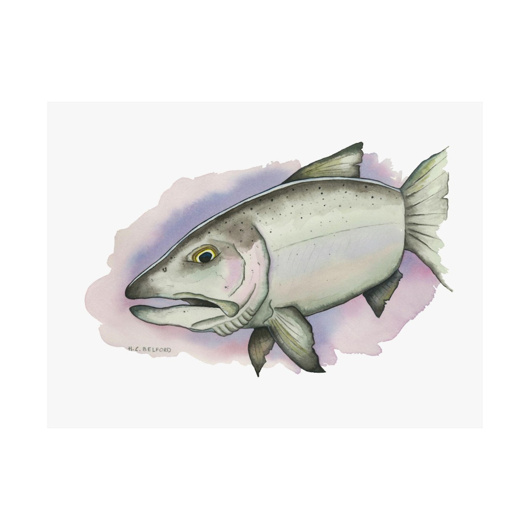 Cartoon Coho Salmon Art Print, Watercolor Painting, Fish Wall Decor ...
