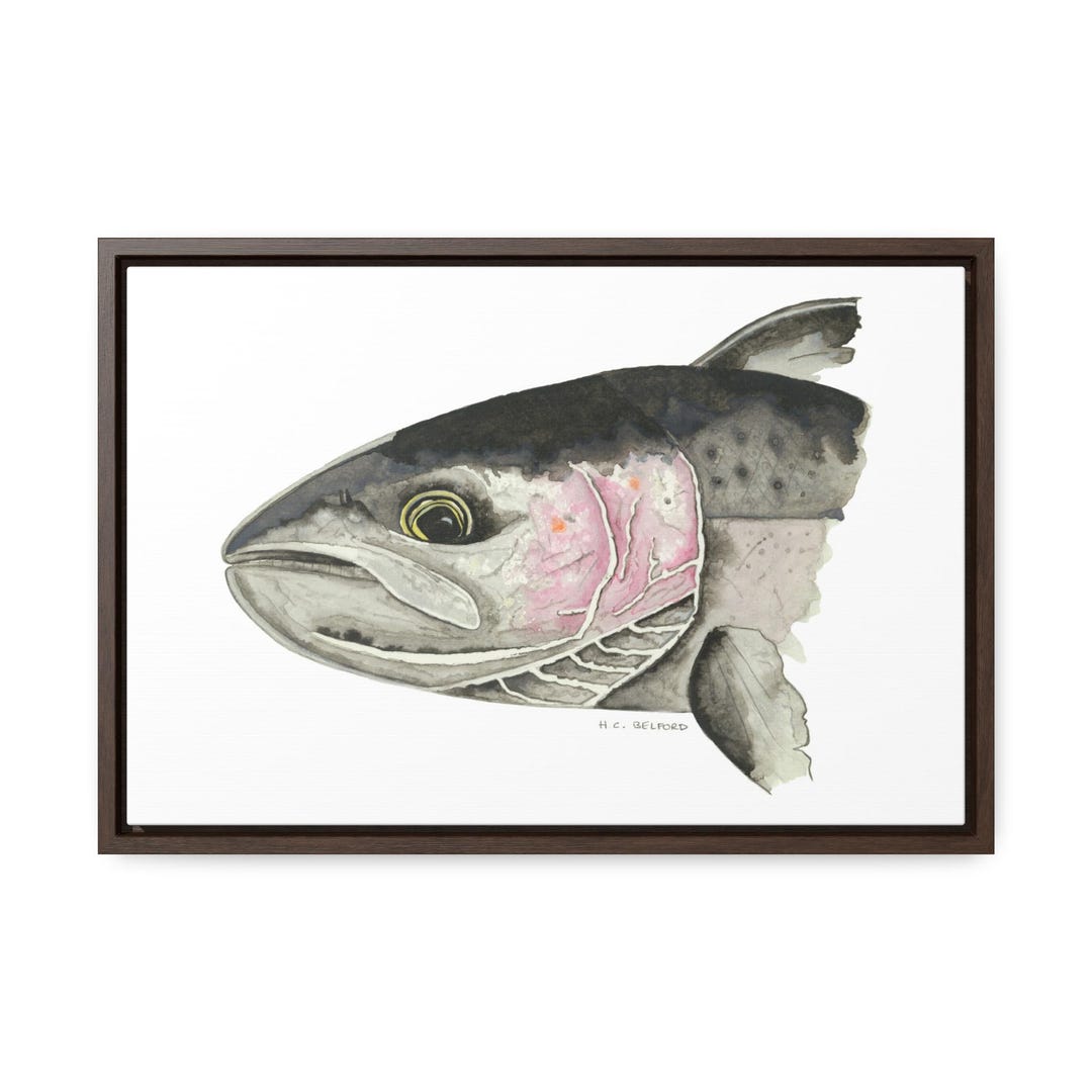Steelhead Watercolor Painting: Framed Fish Art Canvas Print - Etsy
