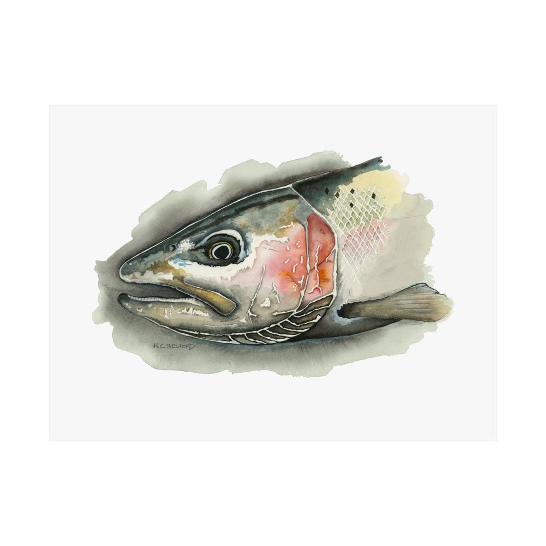 Steelhead Art Print, Watercolor Painting, Fish Wall Decor, Fishing Gift ...