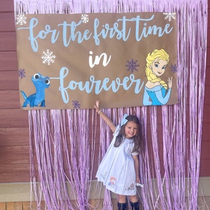 Frozen Inspired Painted Banner, Custom Hand Painted Party Sign - Etsy