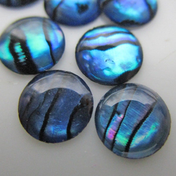 Blue Abalone Shell - Etsy