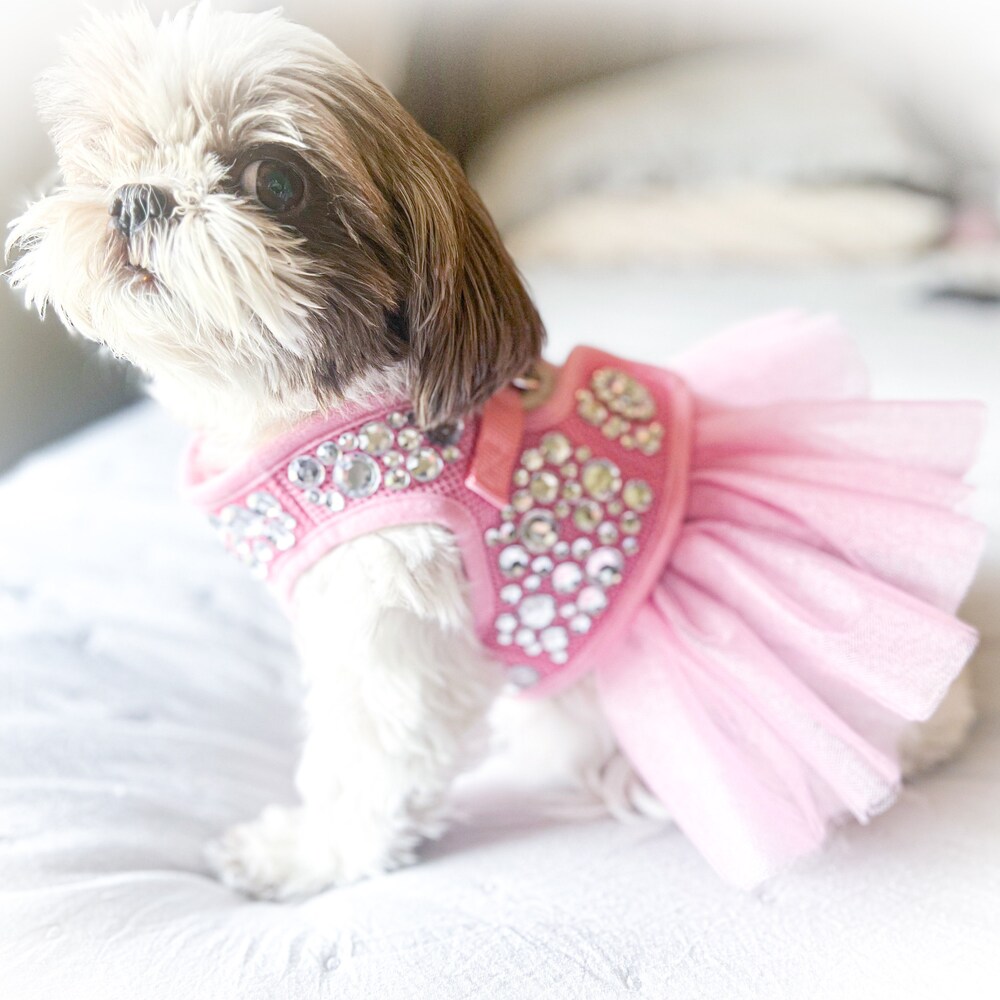 BarkAvenueBling - Etsy