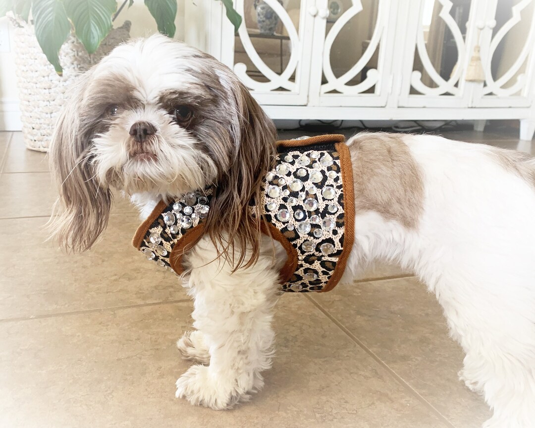 Leopard Print Dog Harness, Brown Trim - Etsy
