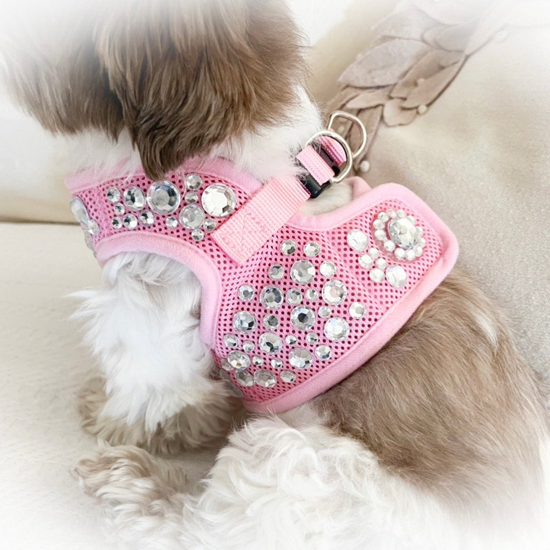 Harness Dog Rhinestone - Etsy