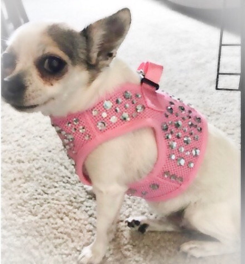 Pink Bling Dog Harness Bark Avenue Bling | Etsy