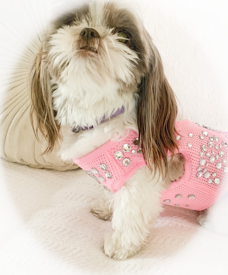 Pink Bling Dog Harness - Bark Avenue Bling - Etsy