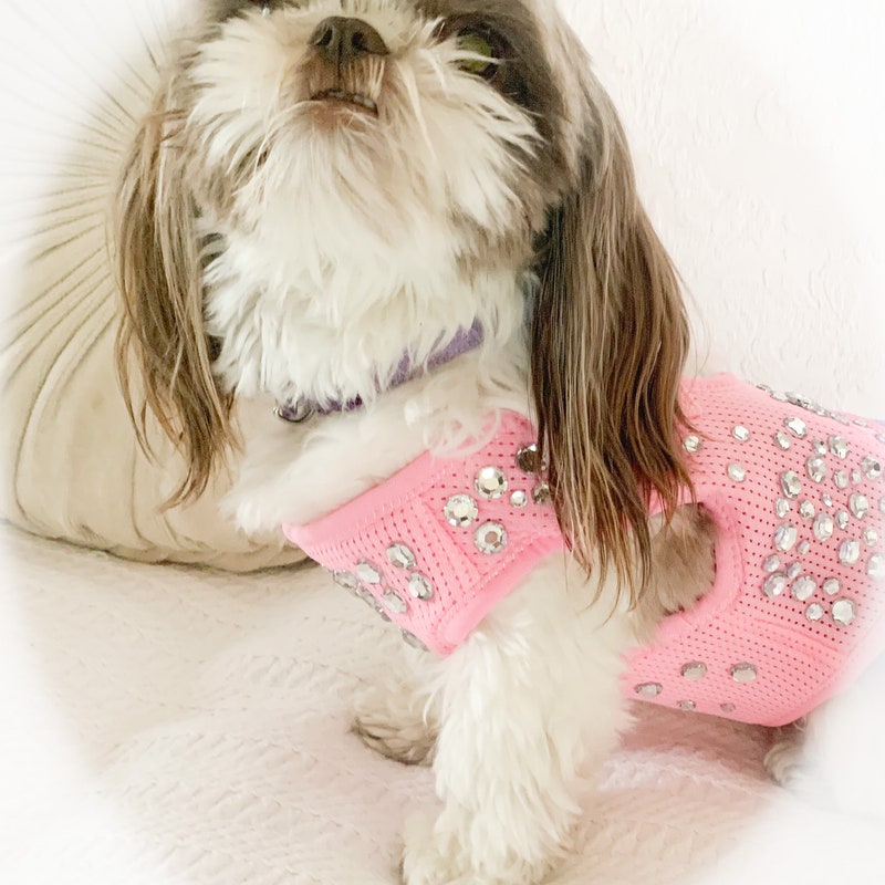 BarkAvenueBling - Etsy