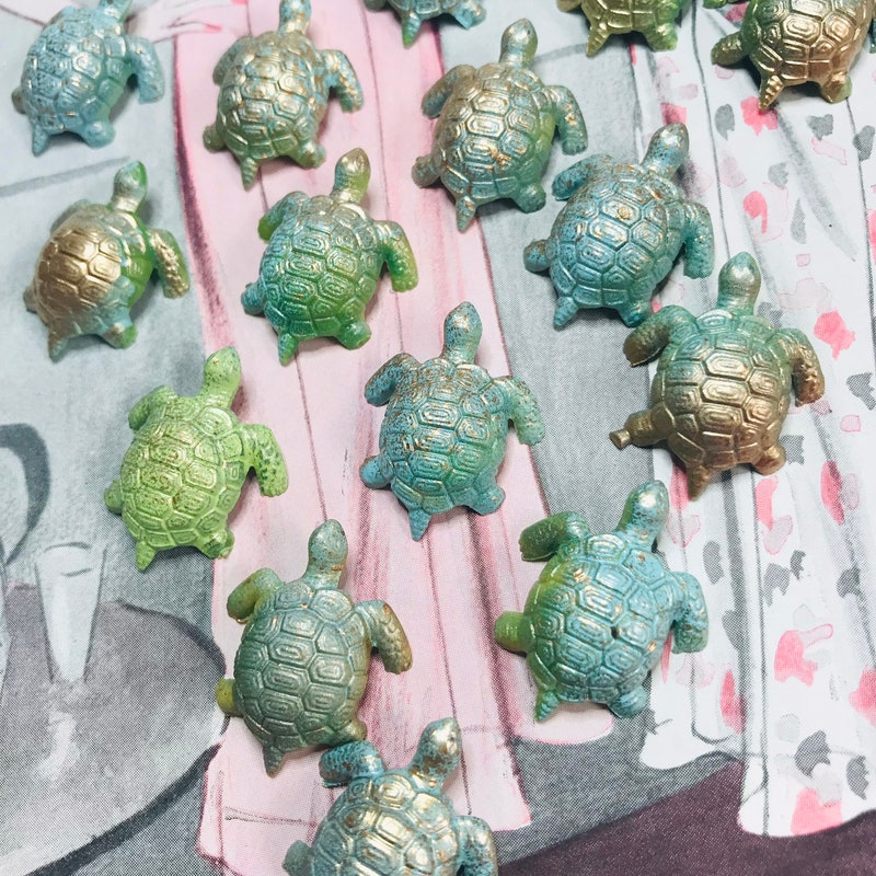 Miniature Turtles - Etsy
