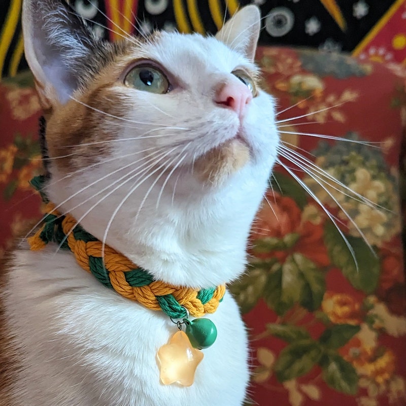 Unique Collar - Etsy