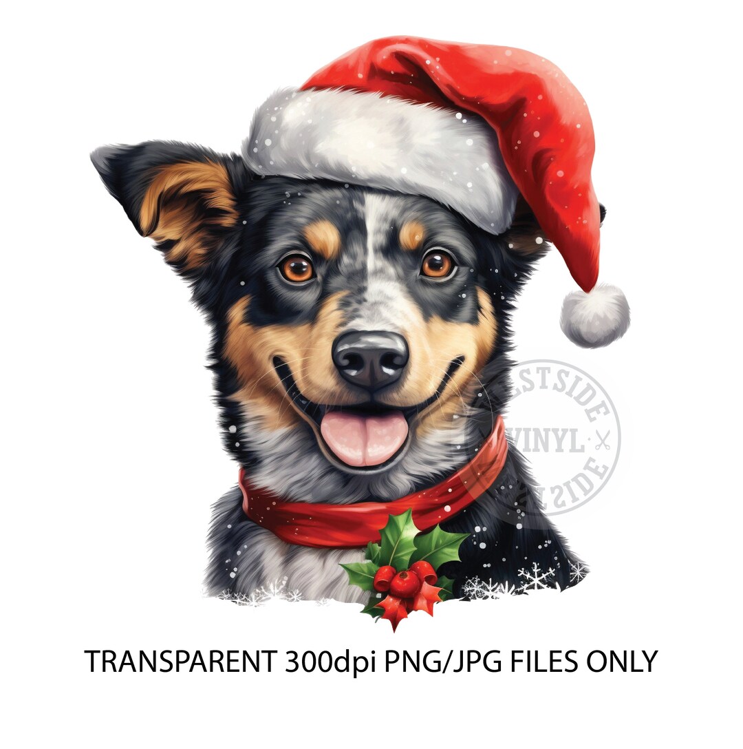 Sheep Dog Sublimation Design - Dog Wearing Scarf - Cute Dog Designs for ...