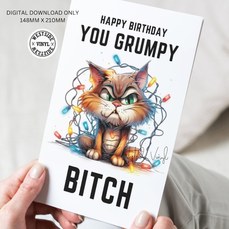 Funny Birthday Card Adult - Etsy