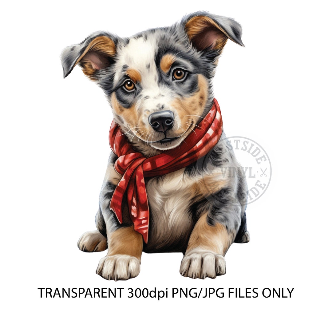 Sheep Dog Sublimation Design - Dog Wearing Scarf - Cute Dog Designs for ...