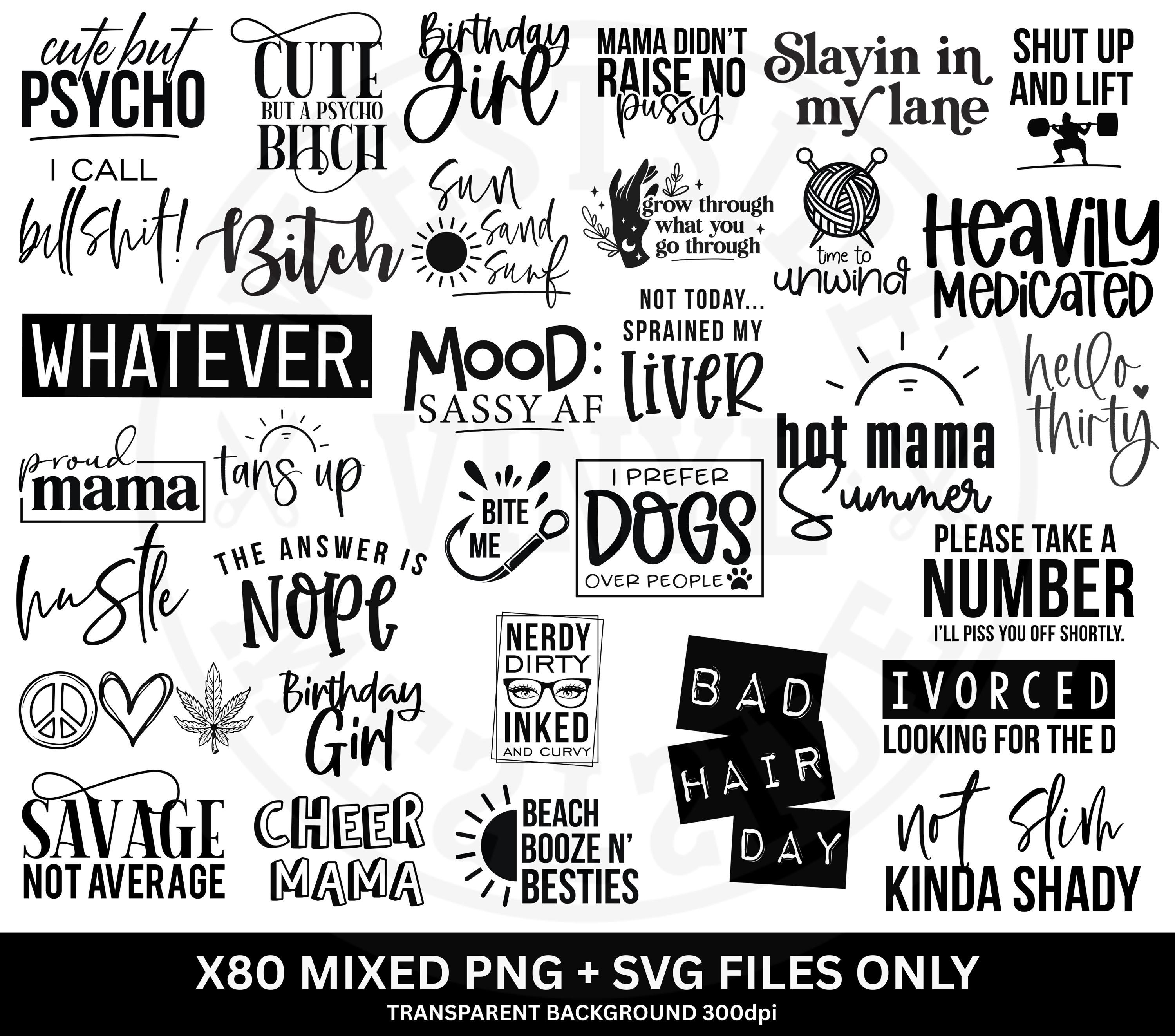 80 SVG PNG Files Novelty Designs for Cameo Cricut + Other Plotters PNG ...