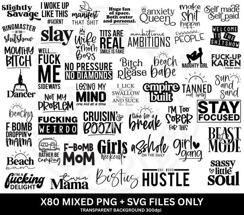 80 SVG PNG Files Novelty Designs for Cameo Cricut + Other Plotters PNG ...