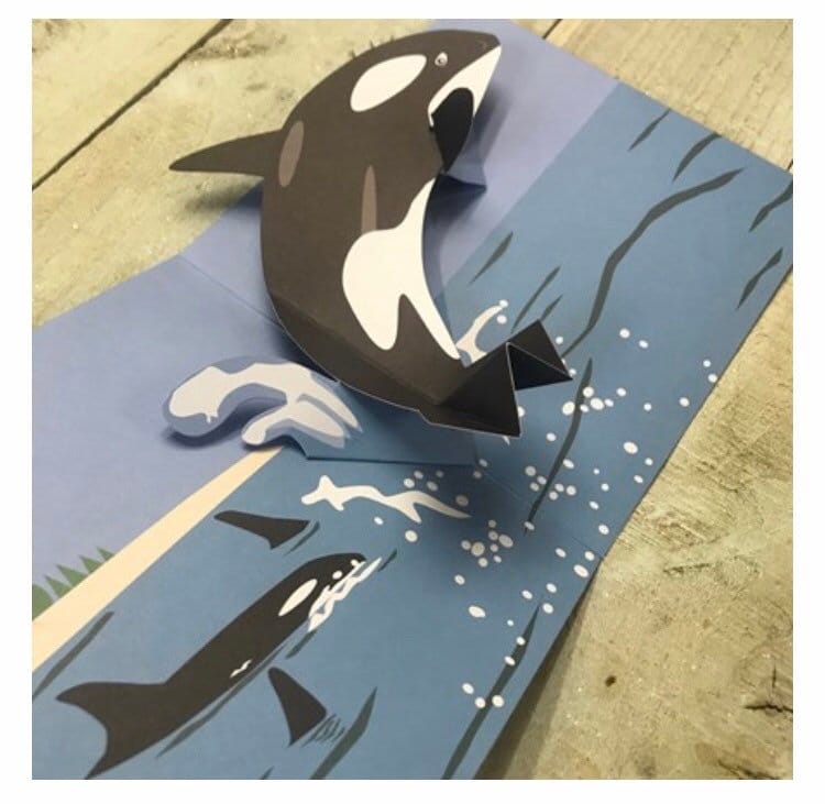 Pop up Card - Whale Design by 2totango - Etsy UK