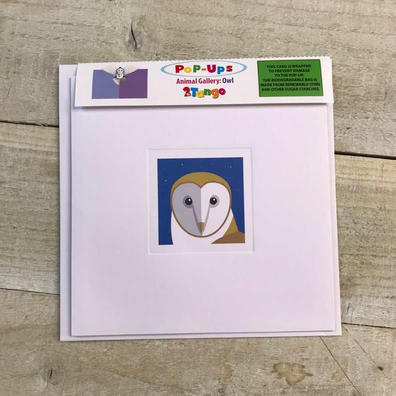 Pop up Card - Barn Owl Design by 2totango - Etsy UK