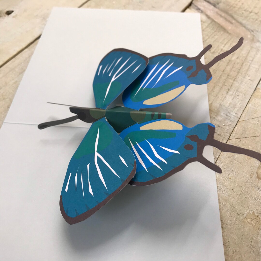Pop up Card - Blue Butterfly Design by 2totango, Stunning, Butterflies ...