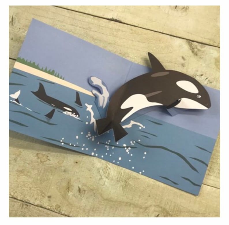 Pop up Card - Whale Design by 2totango - Etsy