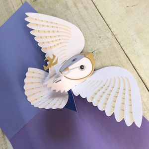 Pop up Card - Barn Owl Design by 2totango - Etsy