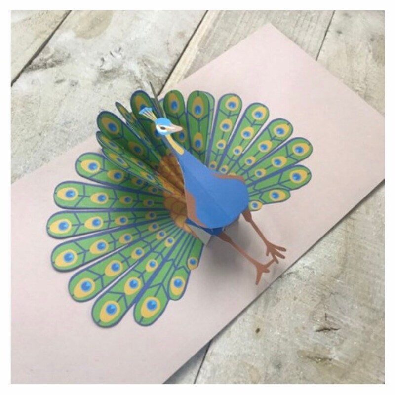 Peacock Pop up Card - Etsy
