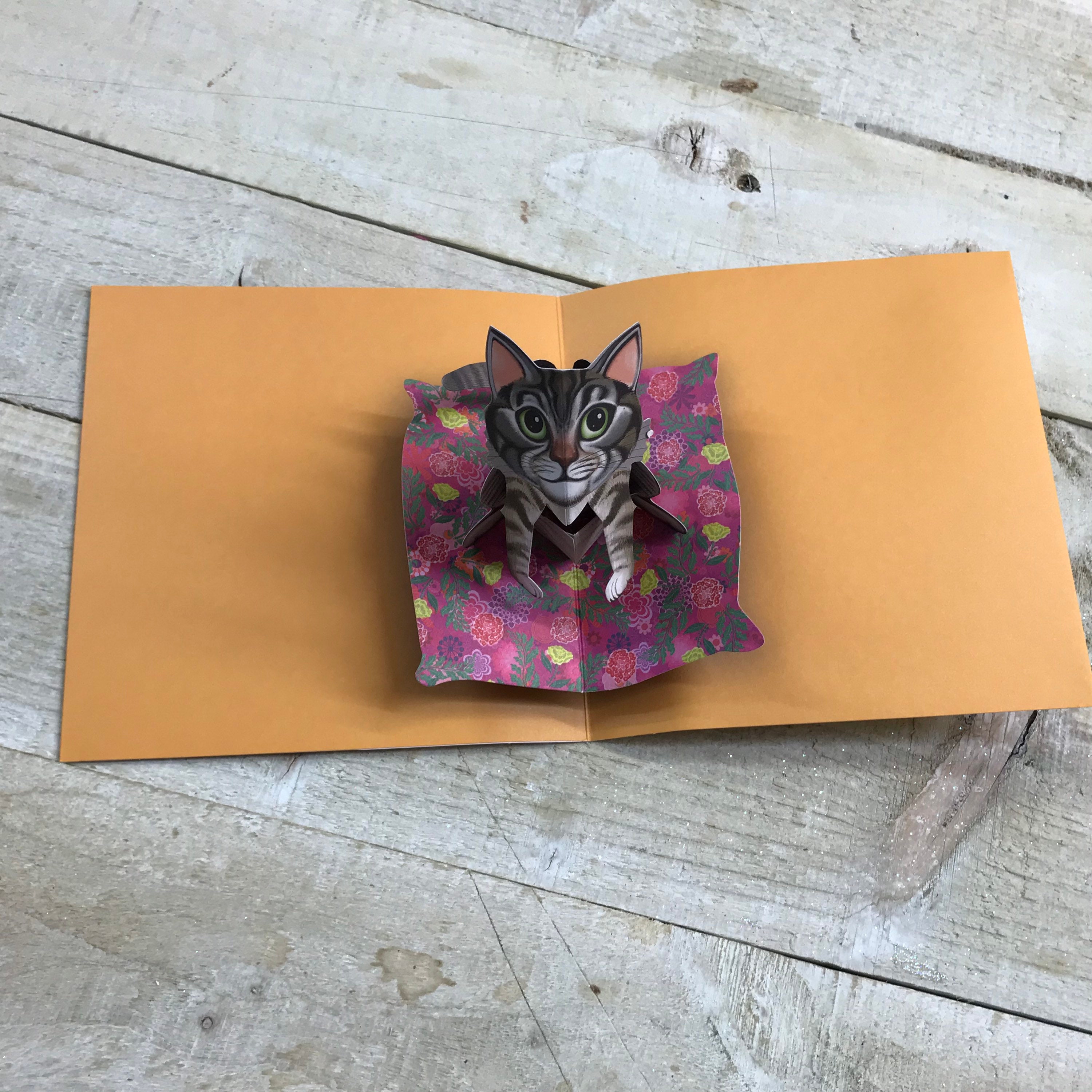 Pop up Card Cat on a Mat Design by 2totango - Etsy UK