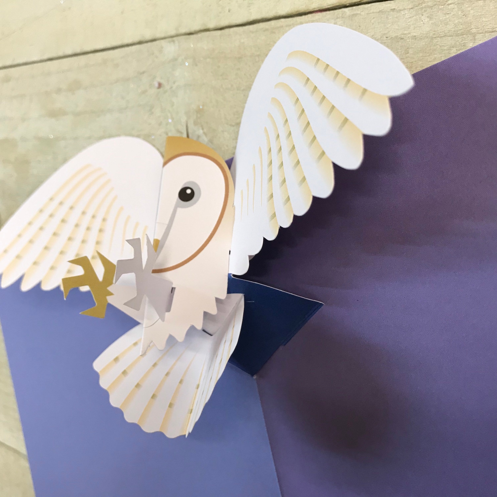 Pop up Card - Barn Owl Design by 2totango - Etsy UK