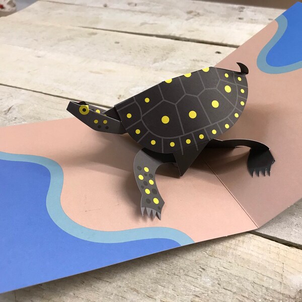 Turtle Birthday Card - Etsy