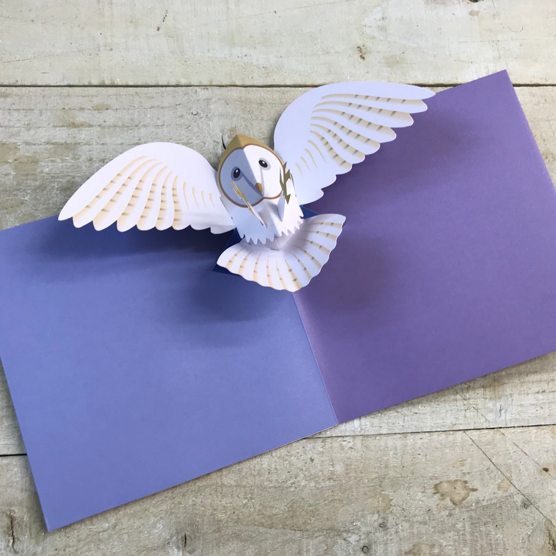 Pop up Card - Barn Owl Design by 2totango - Etsy UK