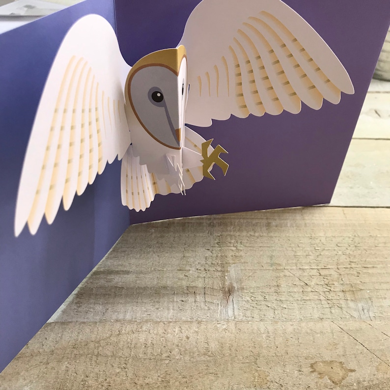 Pop up Card - Barn Owl Design by 2totango - Etsy UK